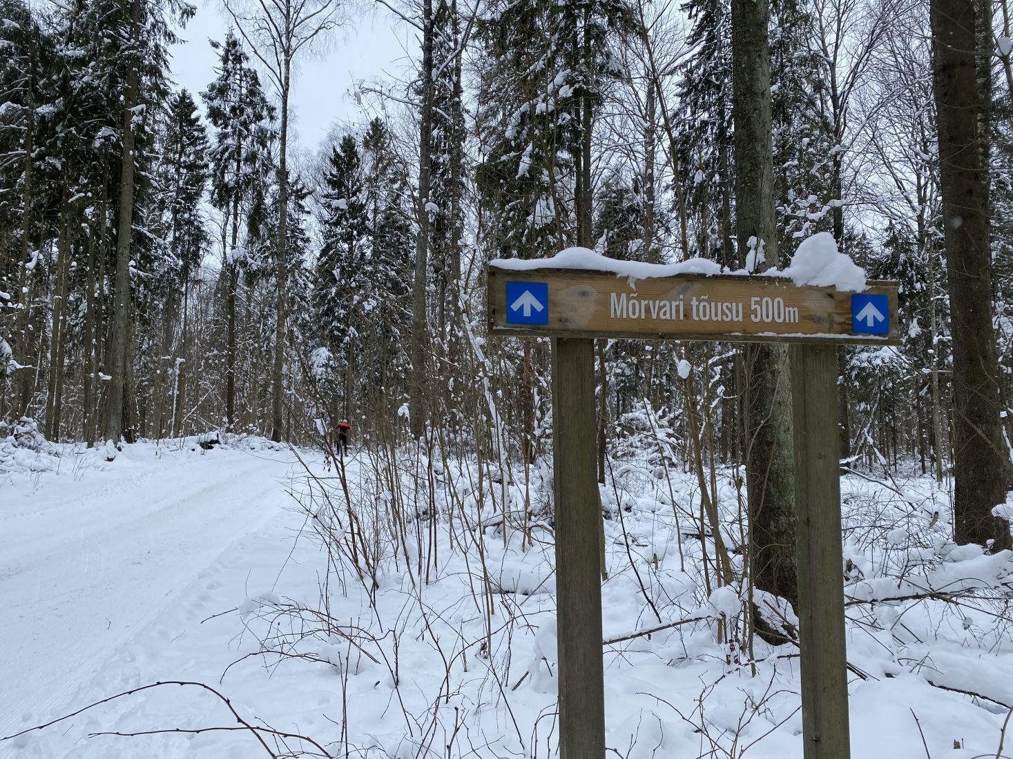 Kuremaa Terviserada - Terviserajad