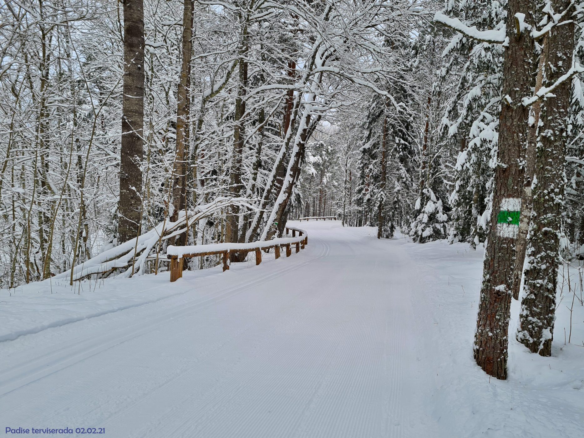 Padise terviserada - Terviserajad