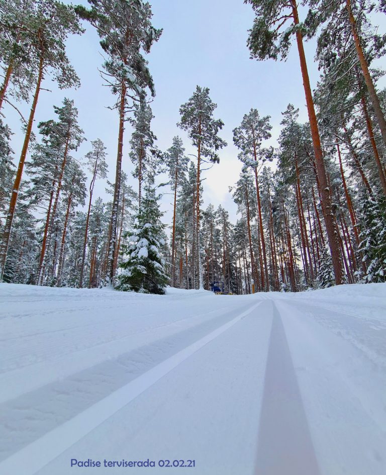 Padise terviserada - Terviserajad