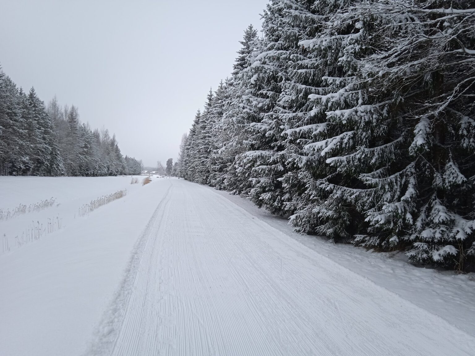 Kehra terviserada - Terviserajad