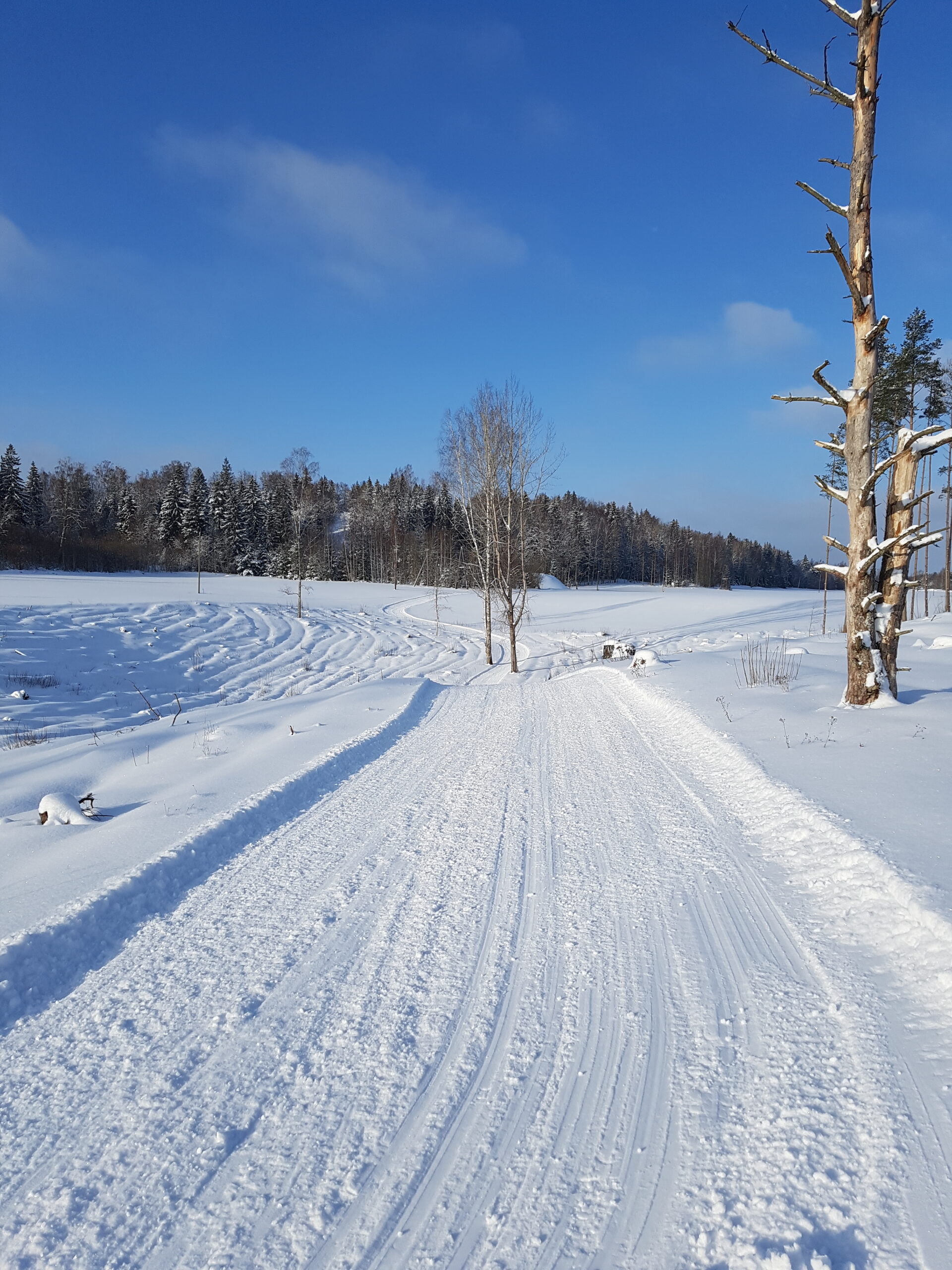 Rakke linnamäe terviserada - Terviserajad